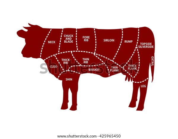 Beef Cuts Illustration : illustration de stock 425965450