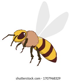 304 Animated cartoon bee Images, Stock Photos & Vectors | Shutterstock