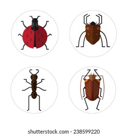 Diagram Showing Life Cycle Cockroach Illustration Stock Vector (Royalty ...