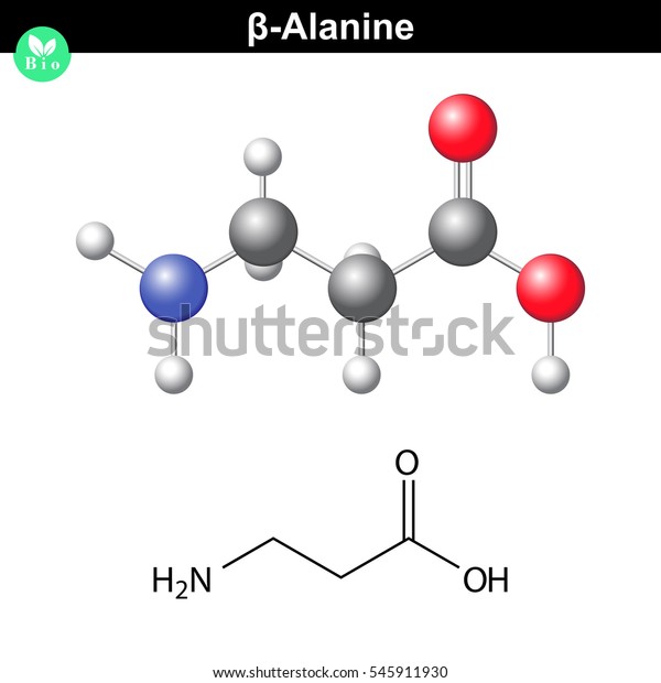 Beta Alanine Molecular Structure Structural Chemical Stock Illustration ...