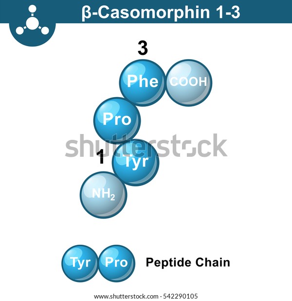 Beta Casomorphin 13 Molecular Structure Ball Stock Illustration ...