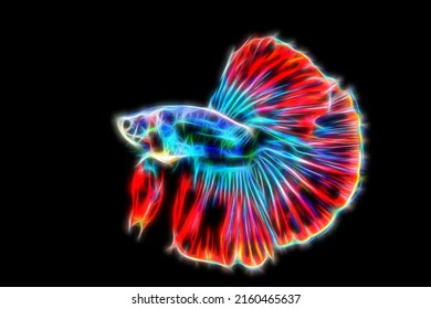 Betta Fish Glowing Modes Stock Illustration 2160465637 | Shutterstock