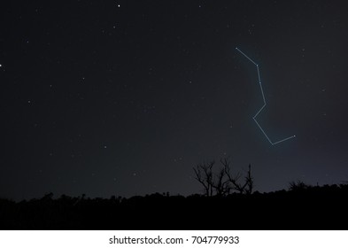 「Big Dipper」のイラスト素材 704779933 | Shutterstock