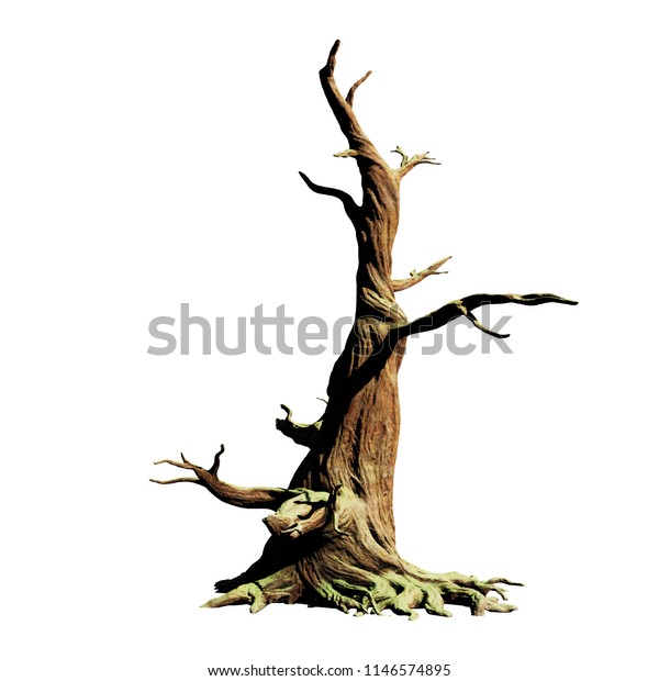 Big Old Dead Tree Isolated On Stock Illustration 1146574895