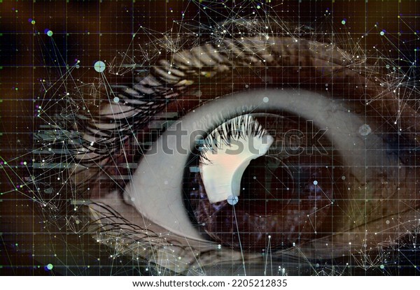 Biometric Eye Recognition Identification Authentication Stock ...