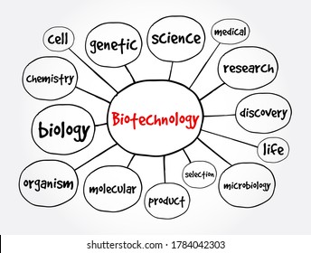70 Chemistry Diagram On Hybridization Images, Stock Photos & Vectors ...