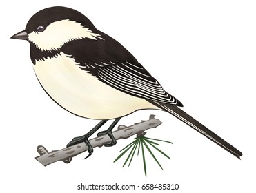 Goldcrest Bird Image Ink Drawing Stock Illustration 1607412946 ...