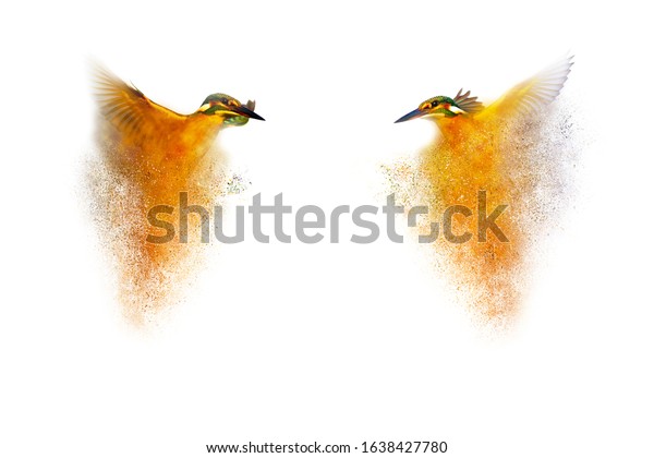 Bird Dispersion Splatter Effect White Background Stock Illustration ...