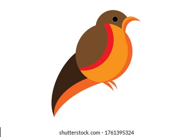 Bird Logo Design Adobe Illustrator 库存插图 1761395324 | Shutterstock