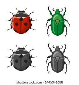 Vector Illustration Insect Beetles Set Isolated: стоковая векторная ...