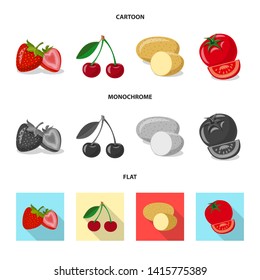 Fruits Berries Colorful Vector Drawing Illustration Stock Vector ...