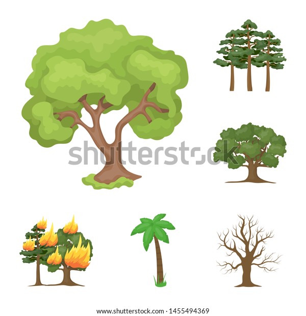 Bitmap Illustration Tree Forest Icon Set Stock Illustration 1455494369