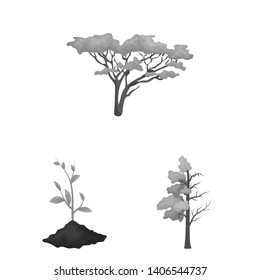 Bitmap Illustration Tree Forest Logo Collection Stock Illustration ...