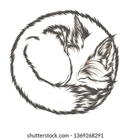226 Curled up fox Stock Illustrations, Images & Vectors | Shutterstock