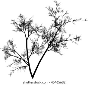Black Branches Stock Illustration 45465682 | Shutterstock