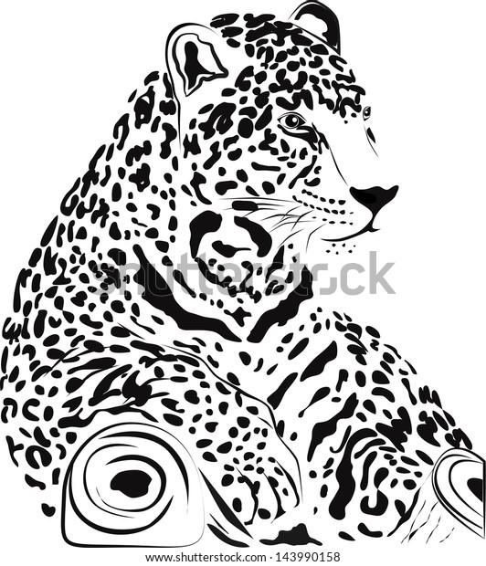 Black White Jaguar Panthera Onca Stock Illustration 143990158