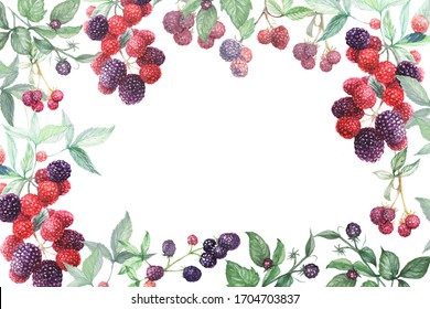 "Blackberry border" - 3.704 Ảnh, vector và hình chụp có sẵn | Shutterstock