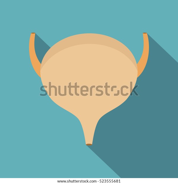 Bladder Icon Flat Illustration Bladder Icon Stock Illustration 523555681