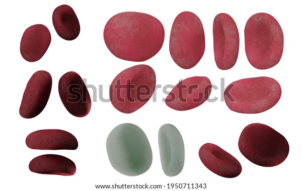 Blood Cells 3d Model Render Set: illustrazione stock 1950711343 ...