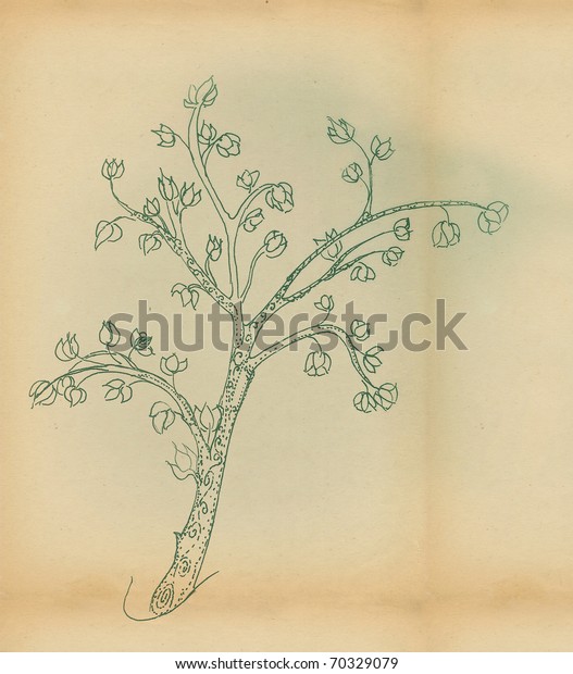 Blooming Tulip Tree Drawing On Ancient Stock Illustration 70329079 ...