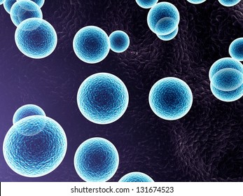 Staphylococcus Aureus Pyogenic Bacteria 스톡 일러스트 307349162 | Shutterstock