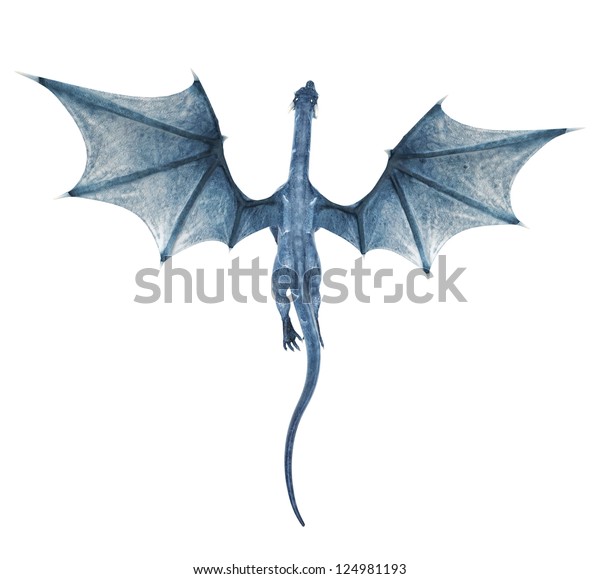 Blue Dragon View Stock Illustration 124981193 | Shutterstock