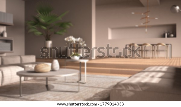 Blur Background Interior Design Modern Living Stock Illustration ...