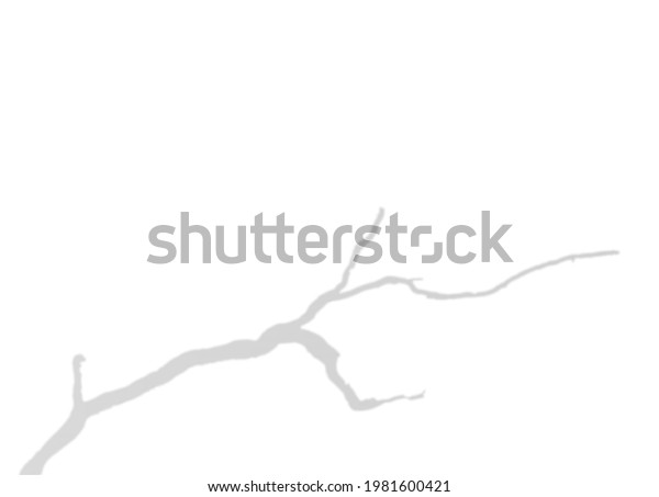 Blurred Shadow Tree Branch Snag Bare Stock Illustration 1981600421 ...