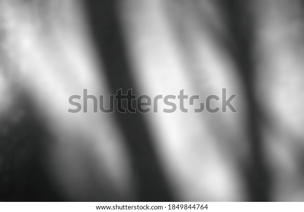 Blurred Tree Shadow Effect Color Cast Stock Illustration 1849844764 ...