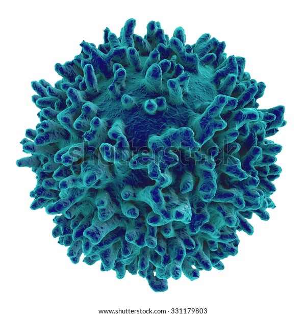 lymphocyte B isolé sur fond blanc. : illustration de stock 331179803