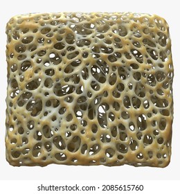 Bone Matrix Rectangle 3d Model Stock Illustration 2085615760 | Shutterstock