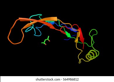 Bone Morphogenetic Protein 2 Plays Important Stock Illustration ...