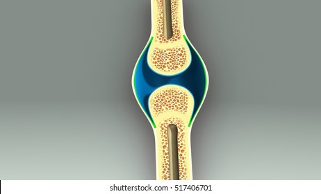 161 Cartilage texture Stock Illustrations, Images & Vectors | Shutterstock