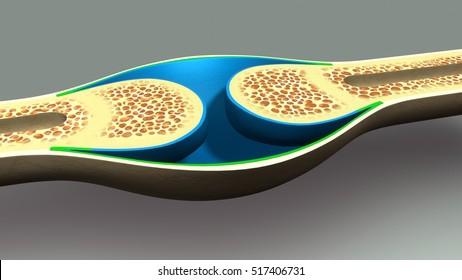 161 Cartilage texture Stock Illustrations, Images & Vectors | Shutterstock