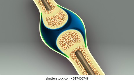 3,050 Cartilage structure Images, Stock Photos & Vectors | Shutterstock