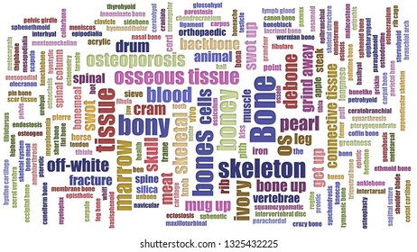 Bone Word Cloud Jumbled Isolated On Stock Illustration 1325432225 ...