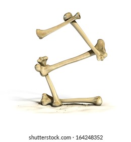 7,911 Bones Numbers Images, Stock Photos & Vectors | Shutterstock