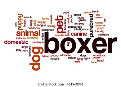 Boxer Word Cloud Stock Illustration 461960941 | Shutterstock