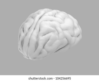 2,057 Brain model side Images, Stock Photos & Vectors | Shutterstock