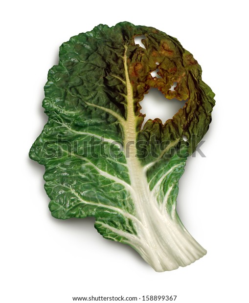 Brain Decay Disease Memory Loss Due Stock Illustration 158899367