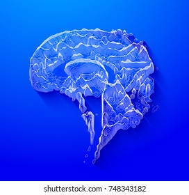 Brain Form Topographic Map Concept Modern Stock Illustration 748343182 ...