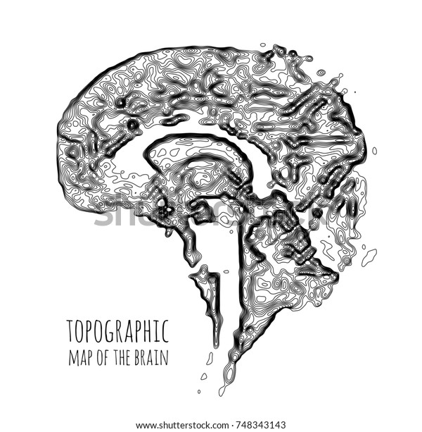 Brain Form Topographic Map Concept Modern: ilustración de stock ...