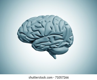 Brain Illustration Stock Illustration 71057266 | Shutterstock