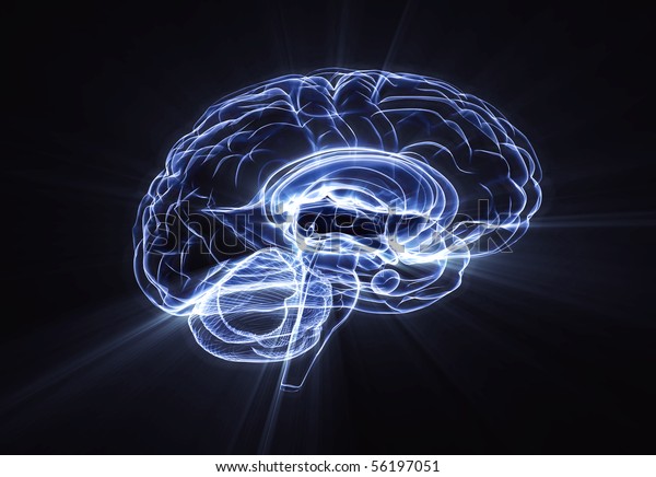 Brain Illustration Stock Illustration 56197051 | Shutterstock