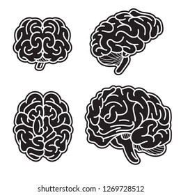 1,224 Brain Frontal View Images, Stock Photos & Vectors | Shutterstock