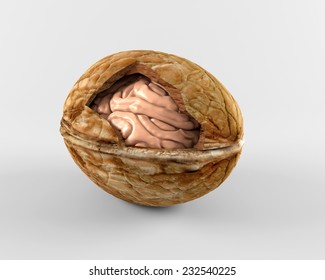14,840 Brain nut Images, Stock Photos & Vectors | Shutterstock