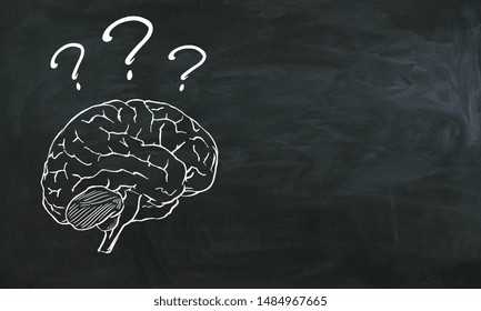 Brain Sketch Question Marks On Chalkboard Stock Illustration 1483907834