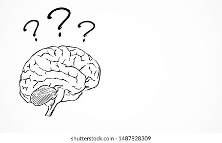 Question Mark Brain Brain Thinks Brain Stock Vector (Royalty Free ...