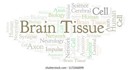 7 Axon font Images, Stock Photos & Vectors | Shutterstock