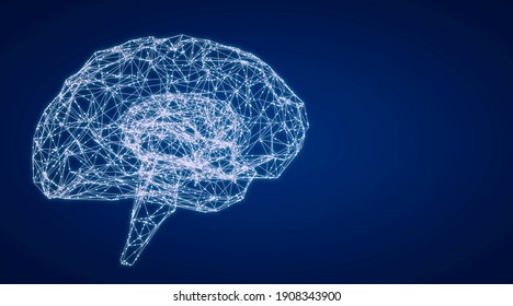 Brain Wireframe Human Brain Digital 3d Stock Illustration 1908343900 ...